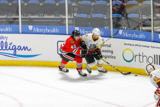 Joel McArter - Elite Prospects