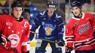 Steve Valiquette - Elite Prospects